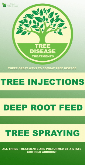Tree Injections in Southlake, TX - Truly Arbor Care